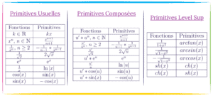 Tout savoir sur les primitives en maths - Maths in your Pocket